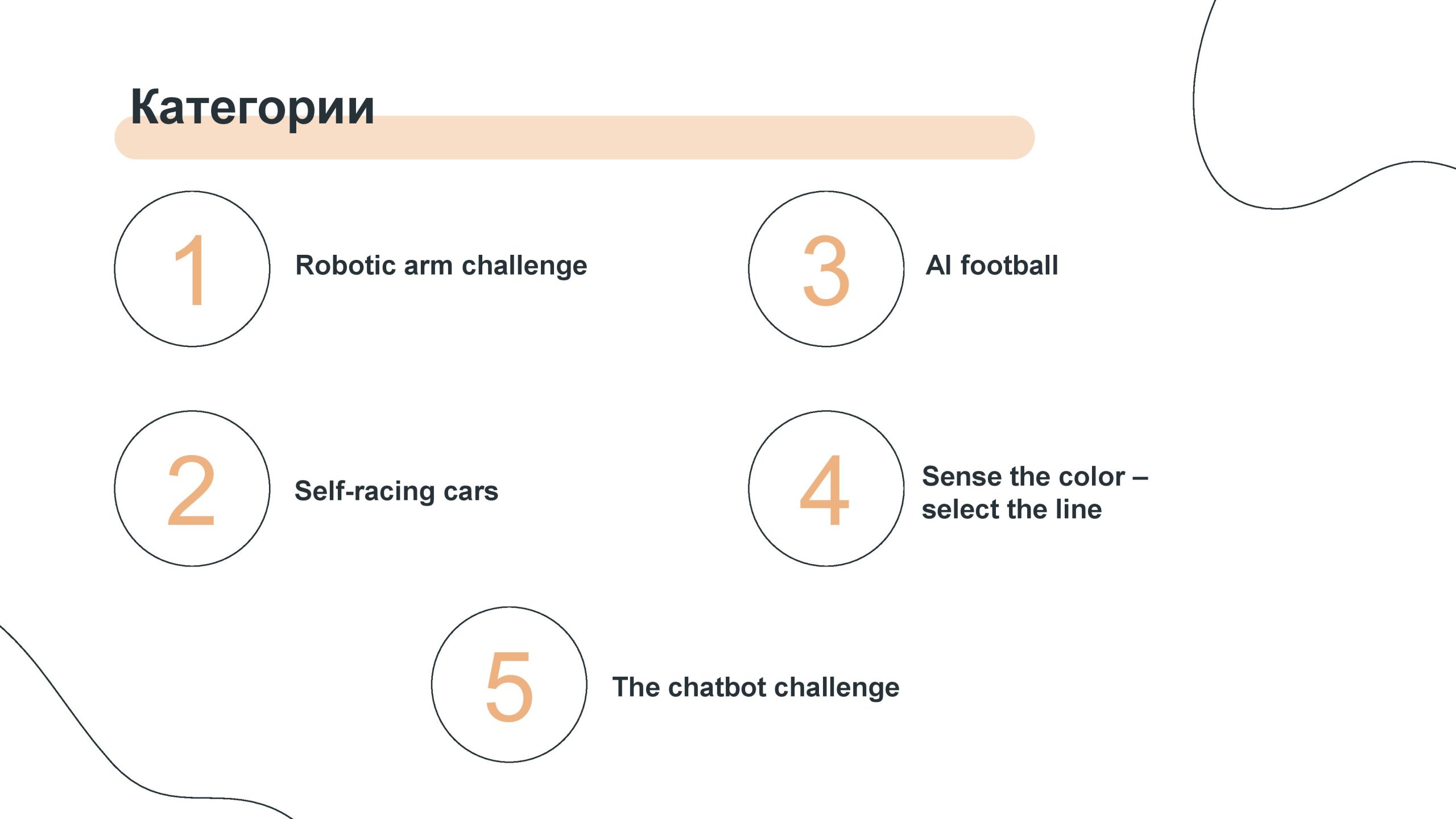 Категории RoboMAC 2024 - ФЕИТ